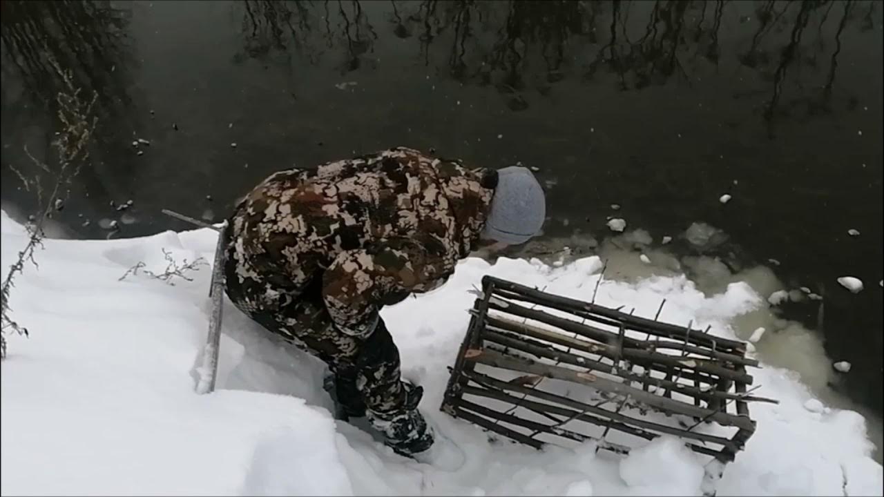 КАК ПОЙМАТЬ ДИКИХ УТОК/ЛОВУШКА НА УТОК - YouTube
