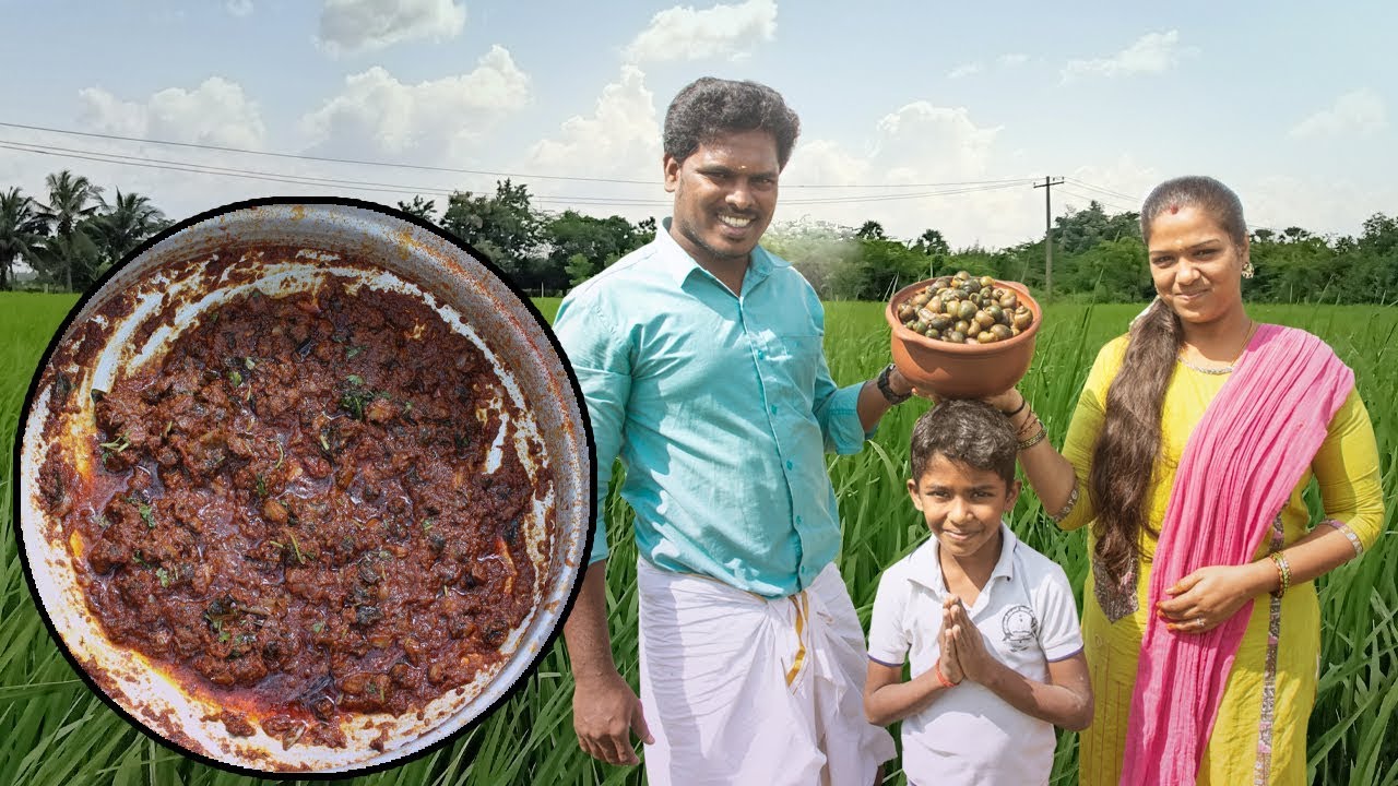 Snail Catching And Eating | Prepared With My Family | Primitive Food ...