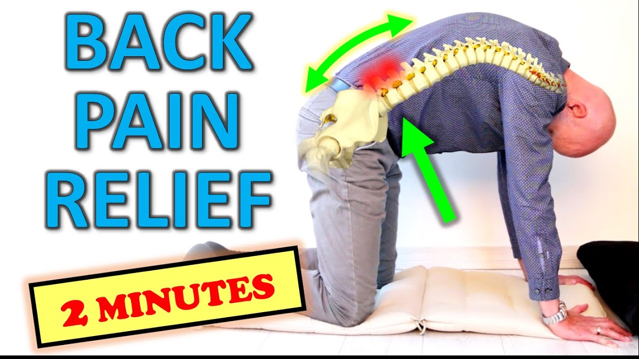 7 Great Low Back Pain Relief Exercises... in 2 MINUTES - YouTube