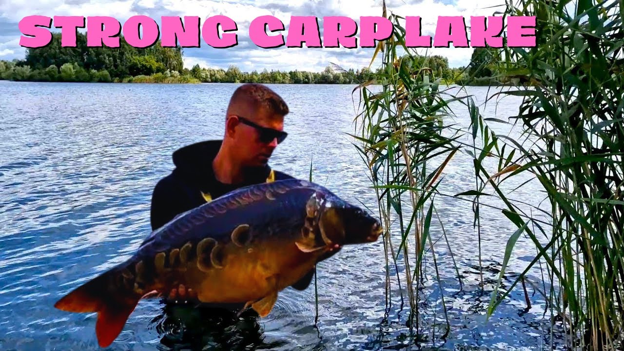 Strong Carp Lake - zmiana taktyki kluczem do sukcesu + KONKURS - YouTube