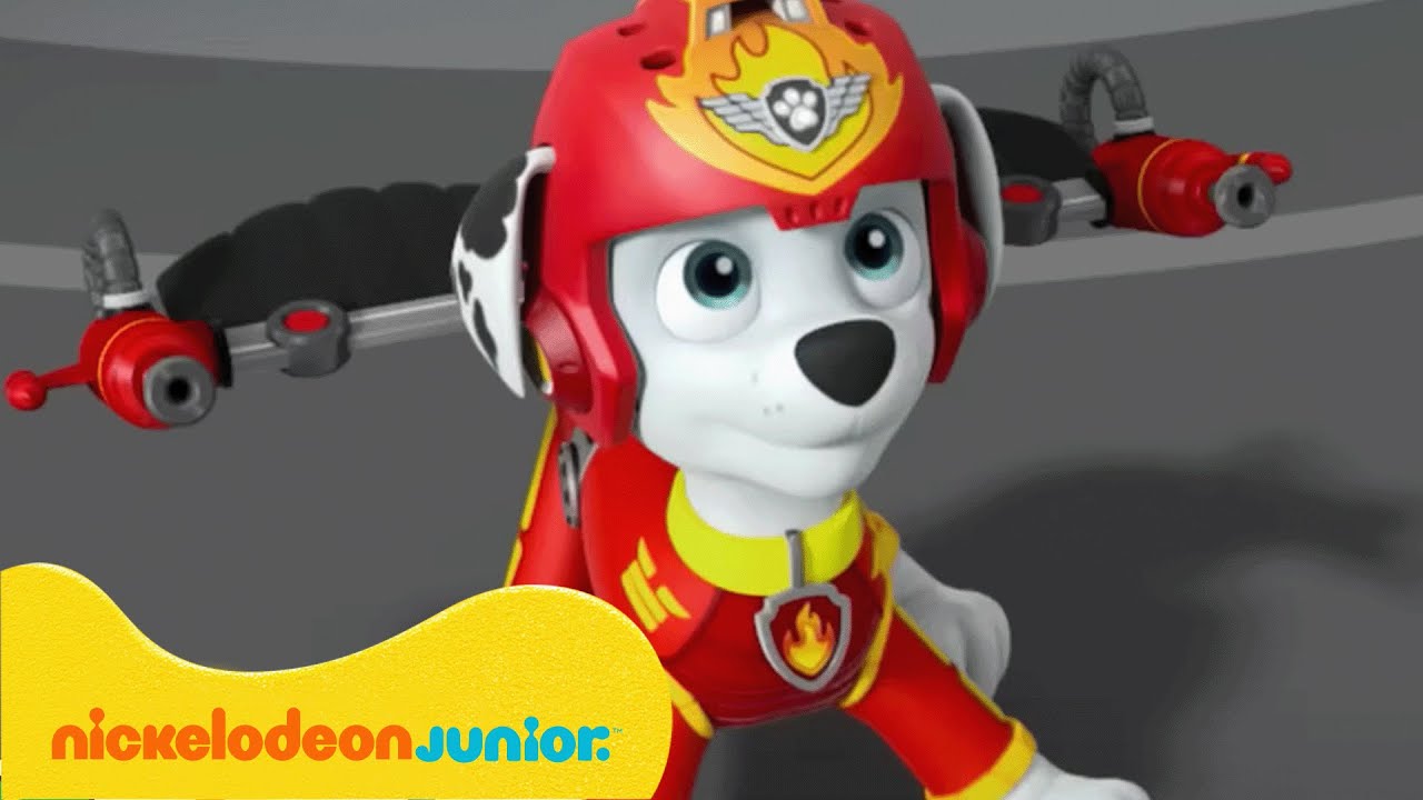 PAW Patrol | La Pat' Patrouille sauvetage d'un dragon et de dinosaures ...