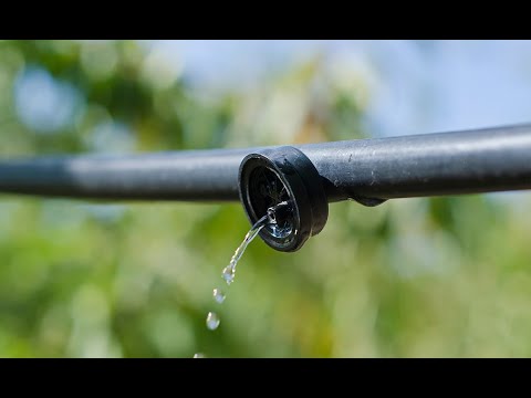 Riego por microaspersión - YouTube