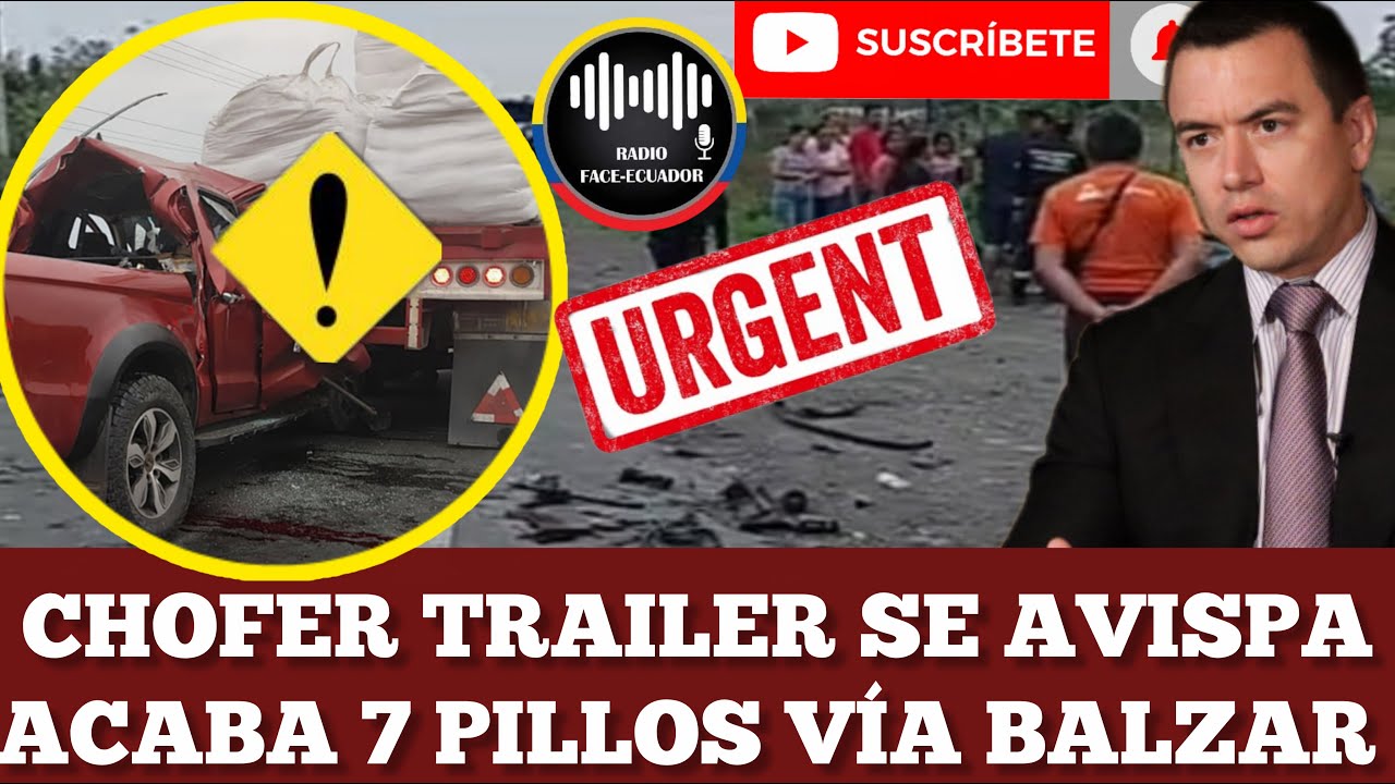 CHOFER DE TRAILER SE AVISPA Y HACE MANIOBRA QUE COBRA V1DA DE 7 P1LL0S ...