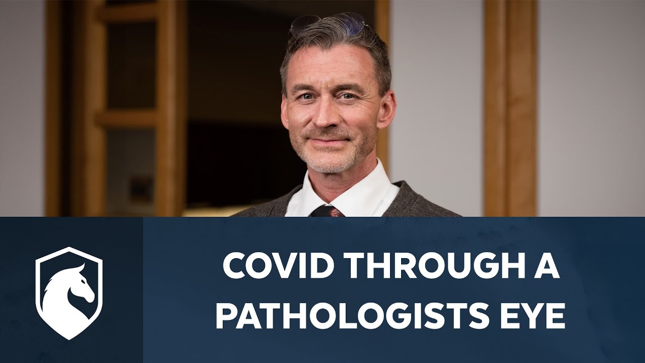 Covid Through a Pathologists Eye: Ryan Cole on DarkHorse - YouTube