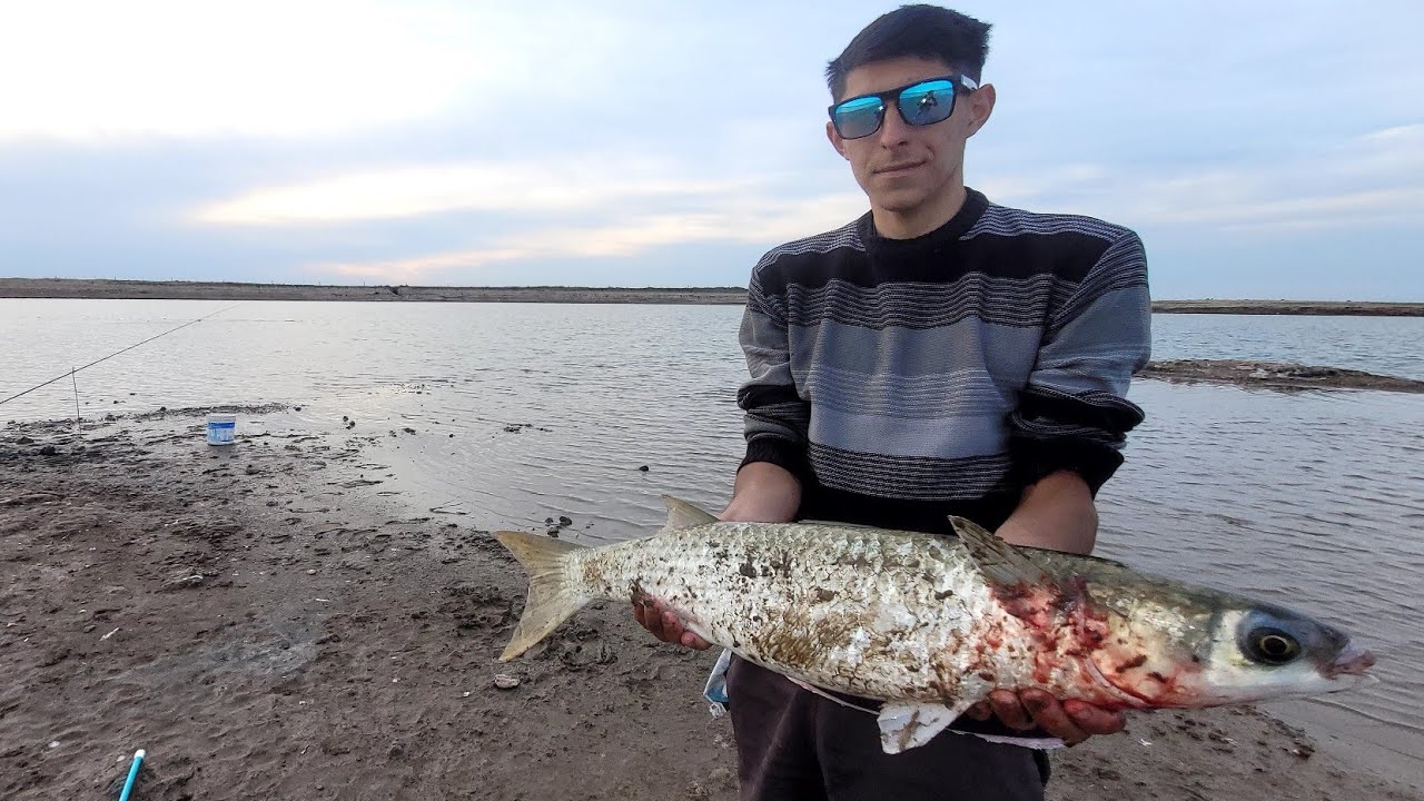 PESCA DE LISAS GIGANTES EN EL RIO SALADO 🔥 - YouTube