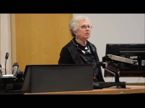 The Stein Rokkan Lecture, 2017 ECPR Joint Sessions - YouTube