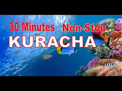30 Minutes KURACHA NON-STOP | KURACHA 2020 | WARAY MUSIC - YouTube