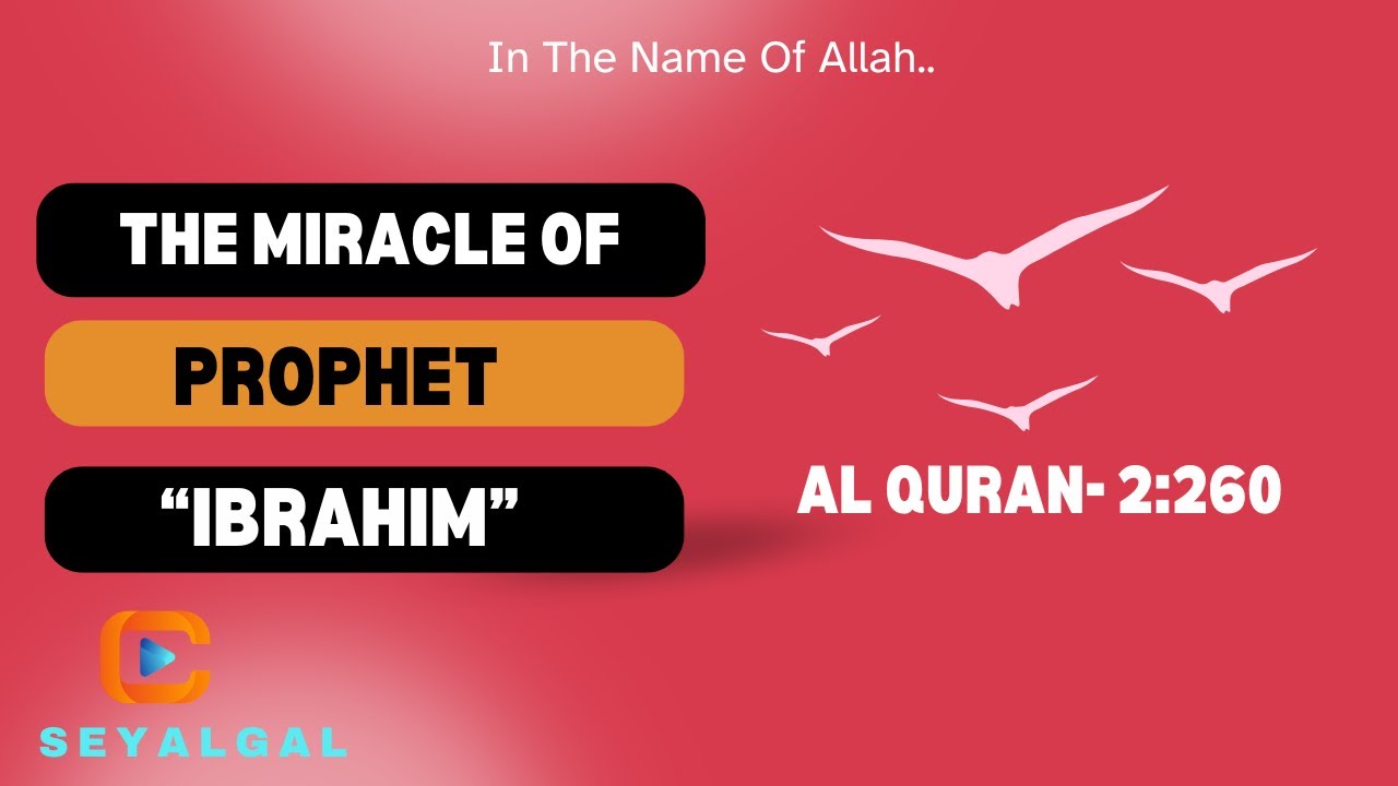 The Miracle of Prophet Ibrahim and and Four Birds #miraculous #quran # ...
