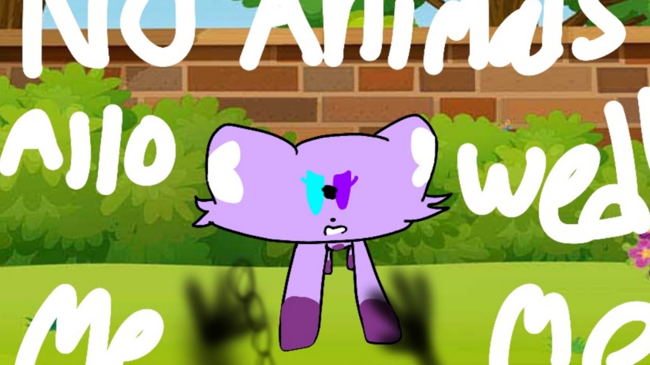 No animals allowed! meme - YouTube