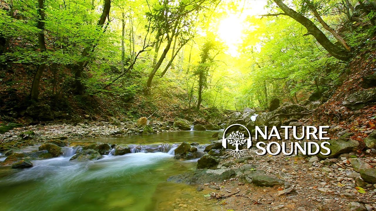 Nature Sounds Relaxing Water Sounds Relaxing Nature Sounds Youtube