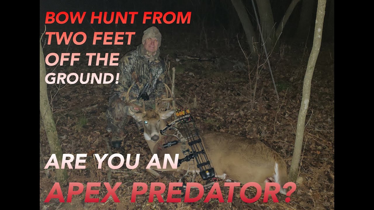 Bowhunt from 2 feet off the ground! Are you an Apex Predator? - YouTube