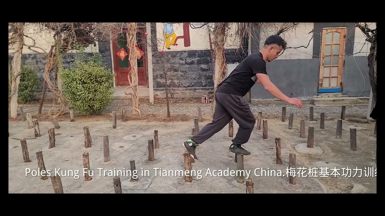 Meihua Poles Kung Fu Training #kungfu #health #martialarts #fitness # ...