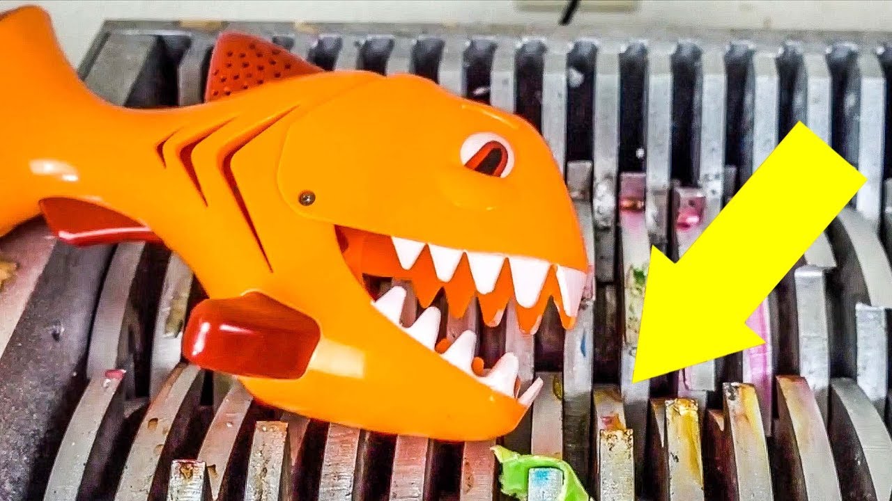 Sharks and Turtles Shredded! Wind-Up Sharks and Fish Water Bath Toys ...