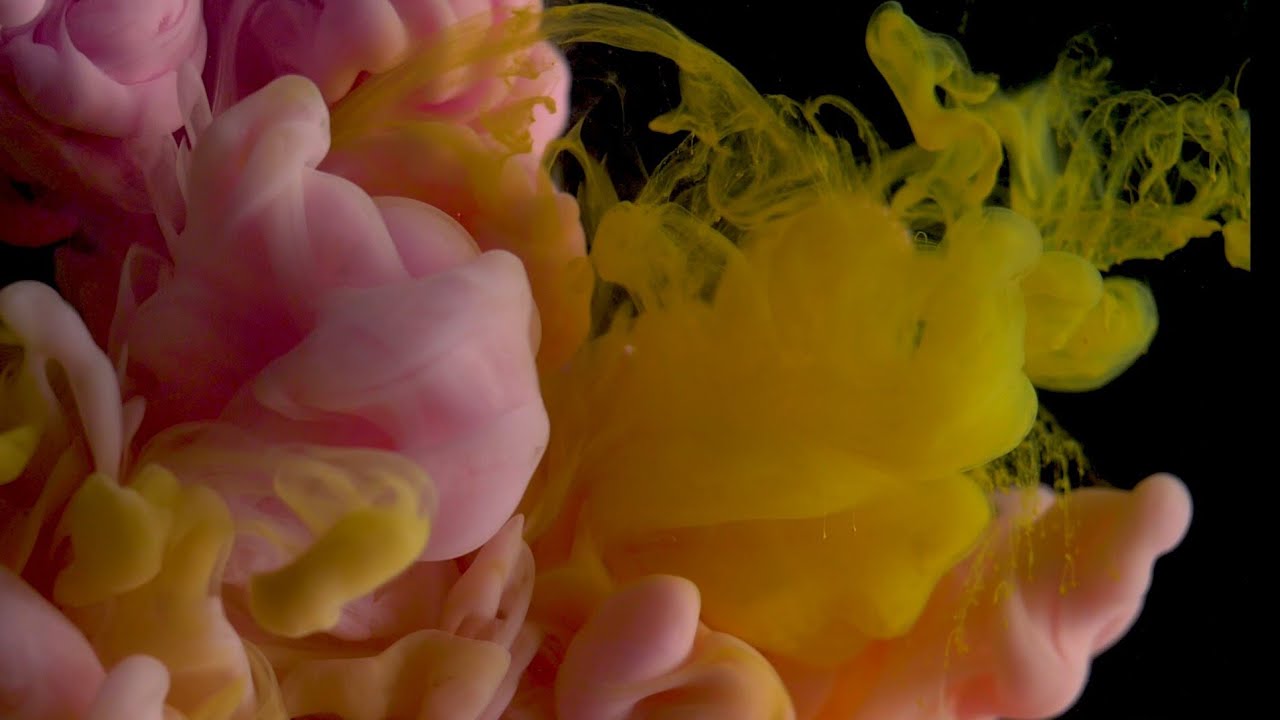 background video full hd 1080p । colourful animation । holi colour ...