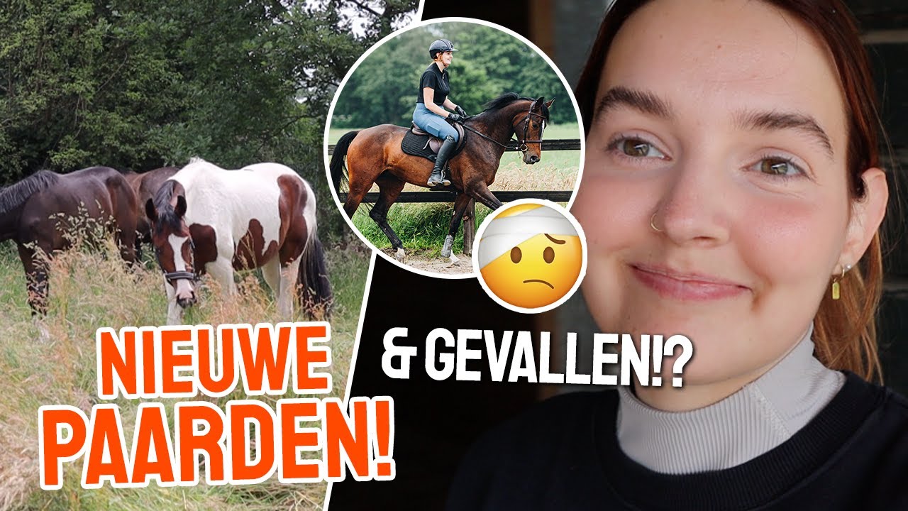 NIEUWE PAARDEN & van Ernie GEVALLEN?! || Vlog #320 - YouTube