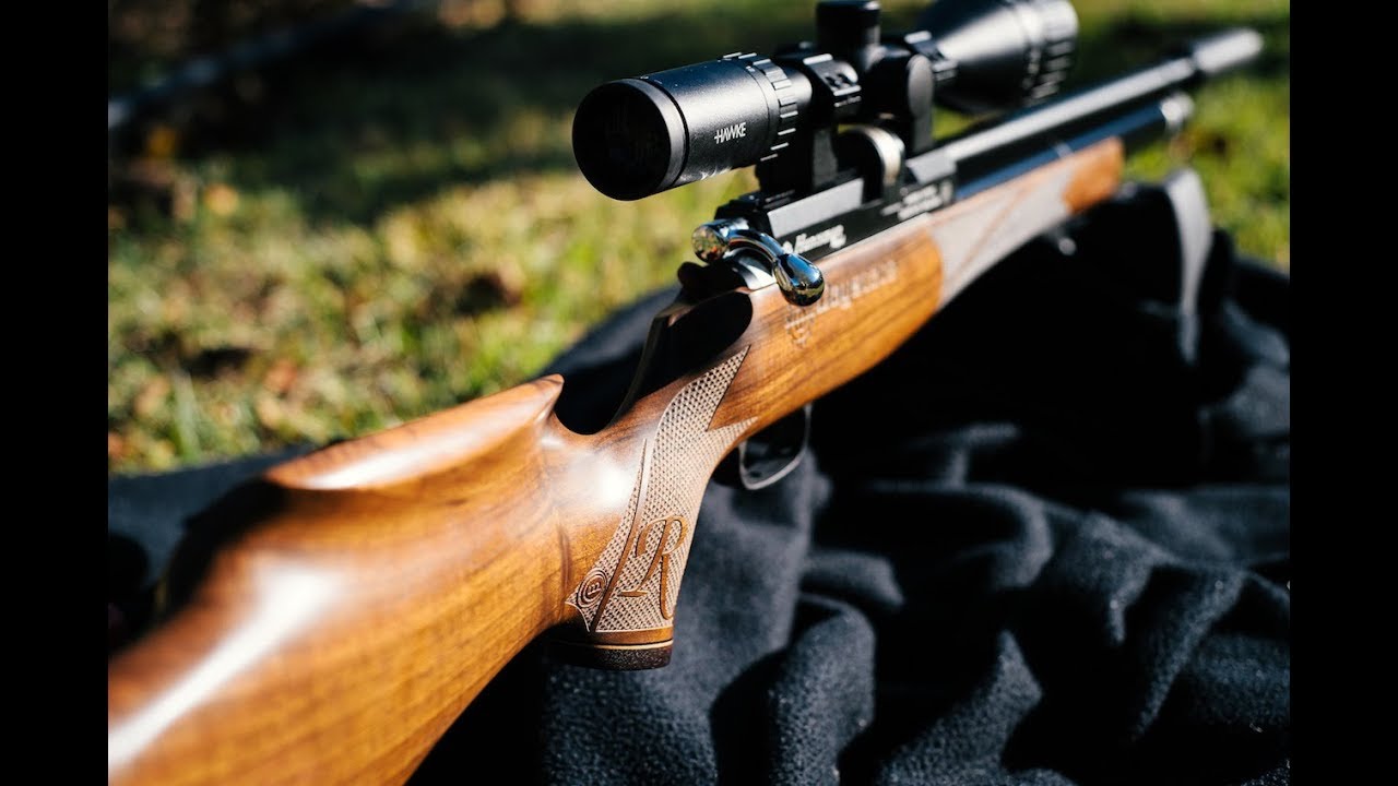 Daystate Huntsman Regal XL vs Squirrel - YouTube