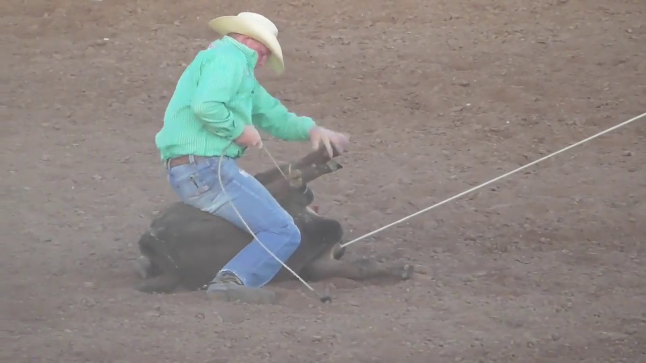 Tie-Down Roping - 2018 Will Rogers Range Riders Rodeo - Thursday - YouTube