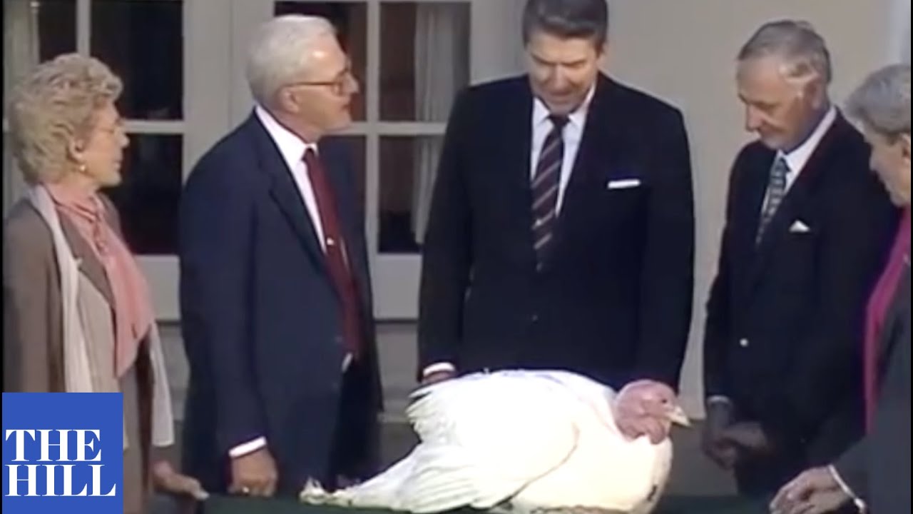 THANKSGIVING FLASHBACK: President Reagan pardons Thanksgiving turkeys ...