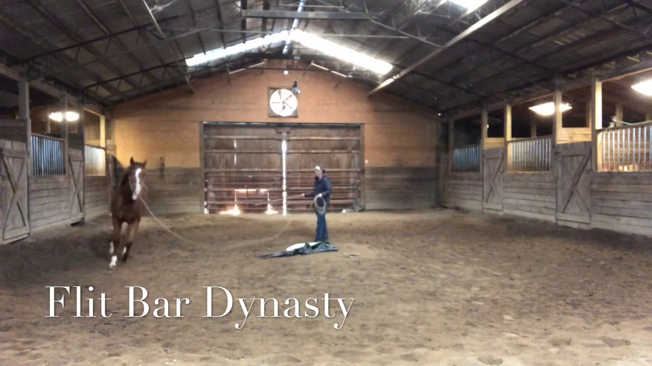 Flit Bar Dynasty - YouTube