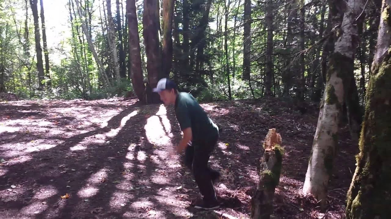 Ninja kicking a tree down! - YouTube