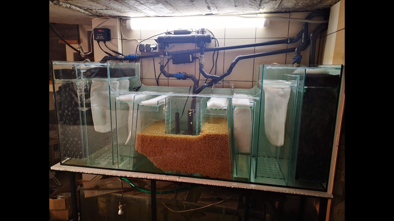 Big sump for Cichlid aquarium - YouTube
