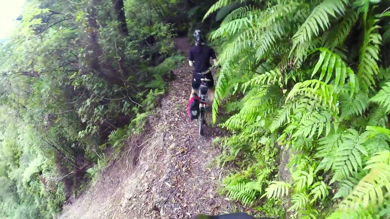 Pakihi Track (Motu Trails) in New Zealand - YouTube