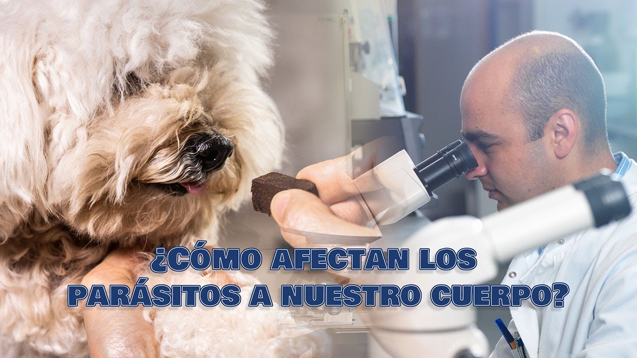 ¿Por qué desparasitarnos es clave para nuestra salud? Entrevista con ...