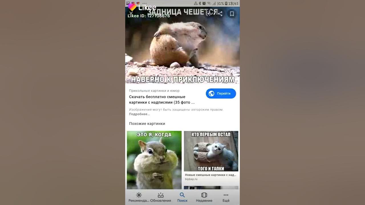 Дома появляются вкусняшки , осторожно собака злая а кот вообще дибил ...