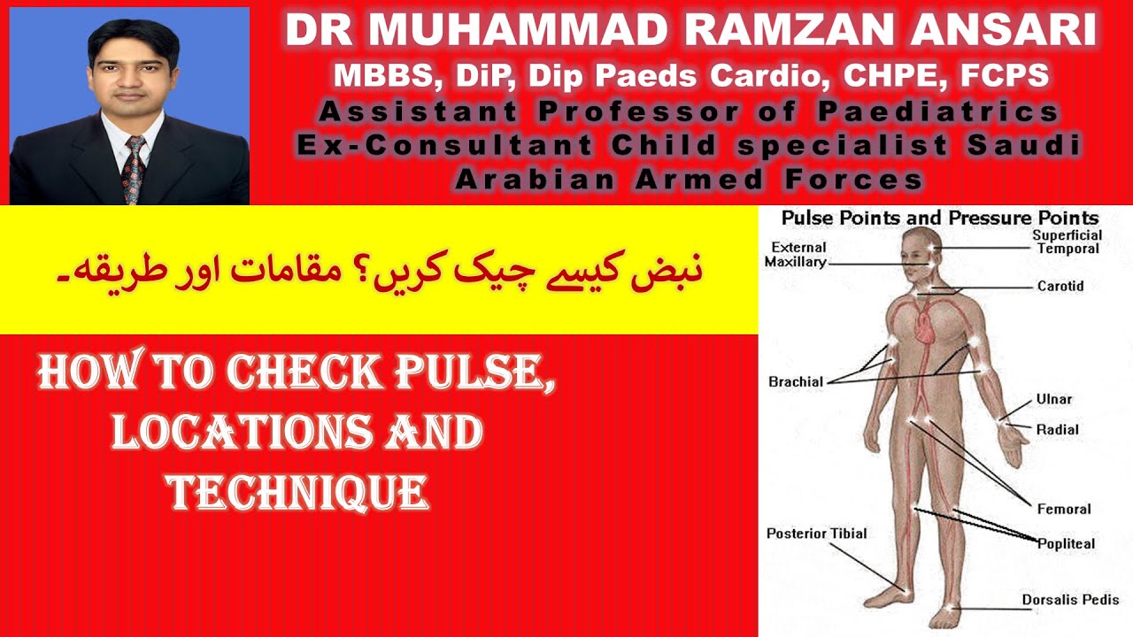 How to Check Resting Pulse, Locations and Technique. اپنی اور دوسروں کی ...