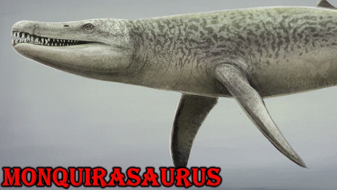 Monquirasaurus - YouTube