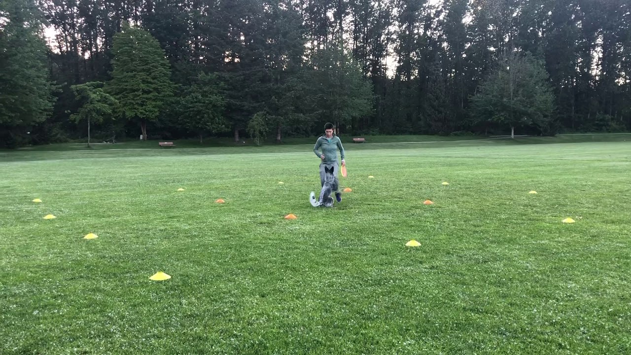 UpDog Video Games - 45’s - YouTube