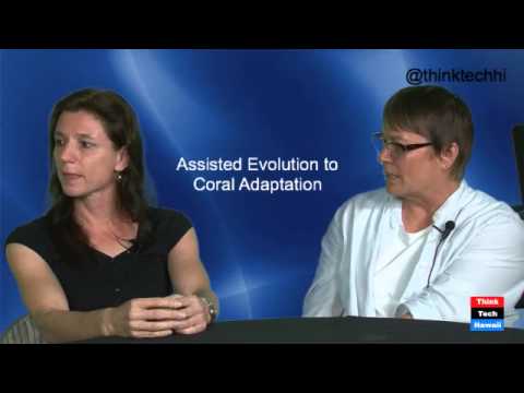 Assisted Evolution to Coral Adaptation - Ruth Gates and Madeleine van ...
