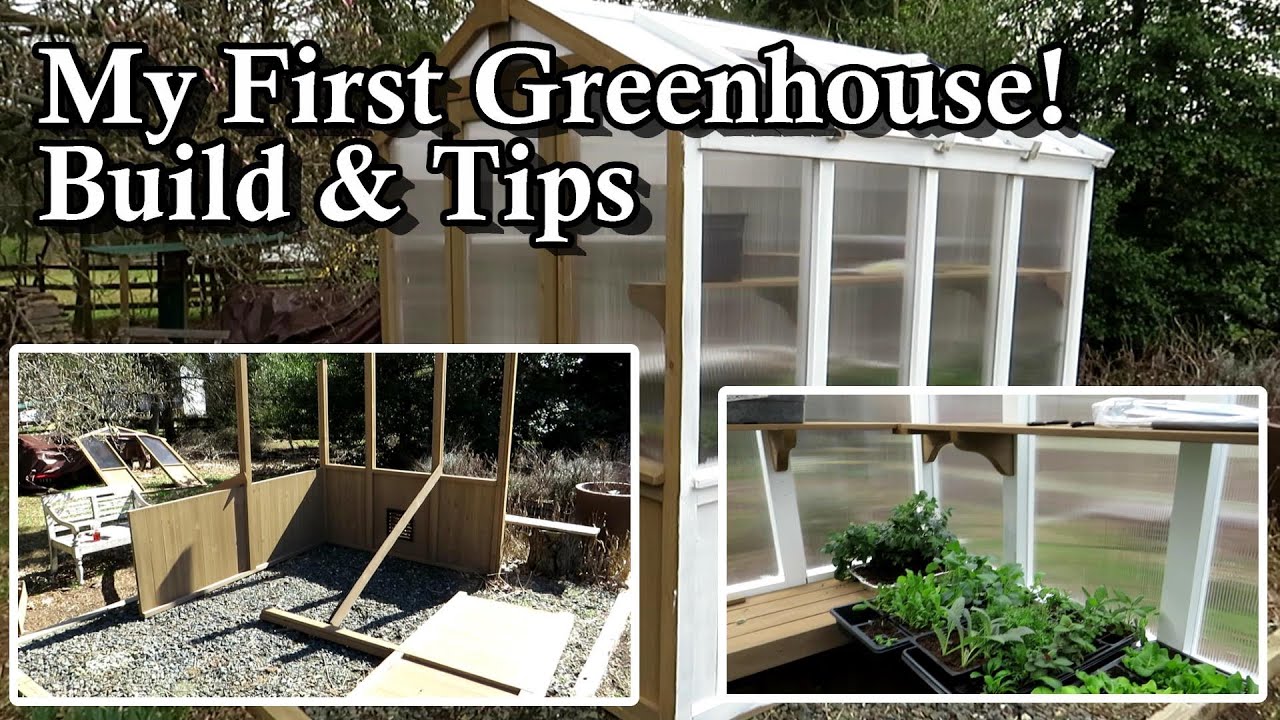 Building Your First Greenhouse: Construction & Tips: The Start of My ...
