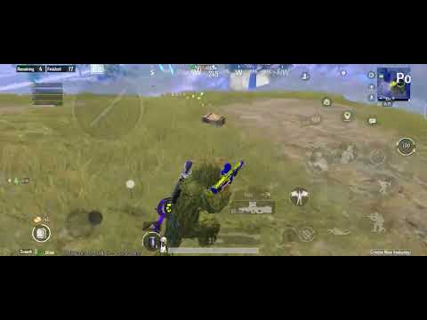 19 kill chicken dinner