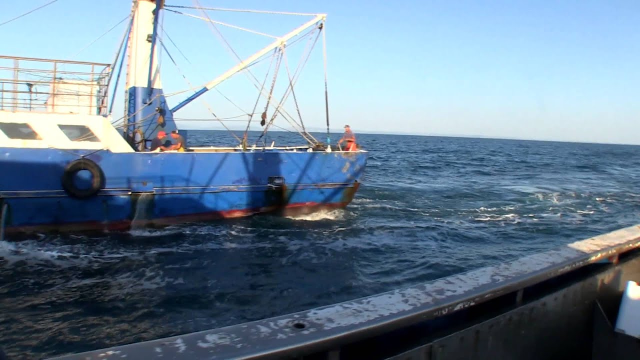 Presentazione della flotta peschereccia. - YouTube