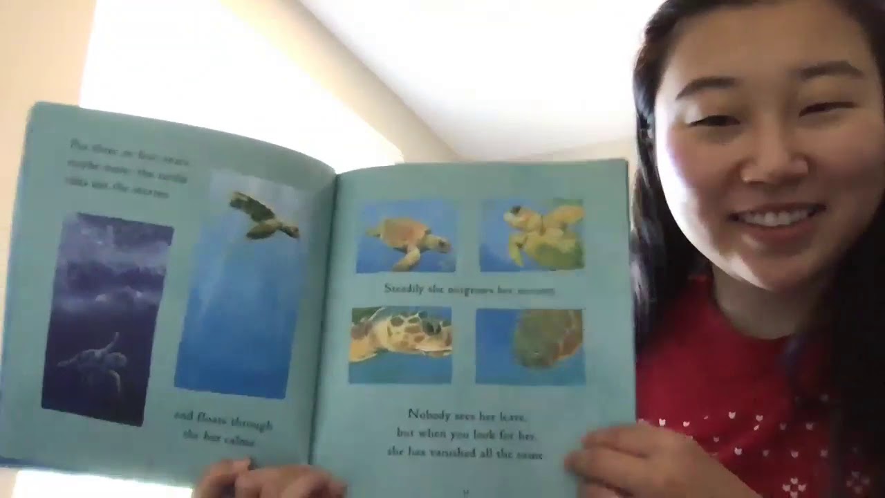 One Tiny Turtle (Nicola Davies) - YouTube