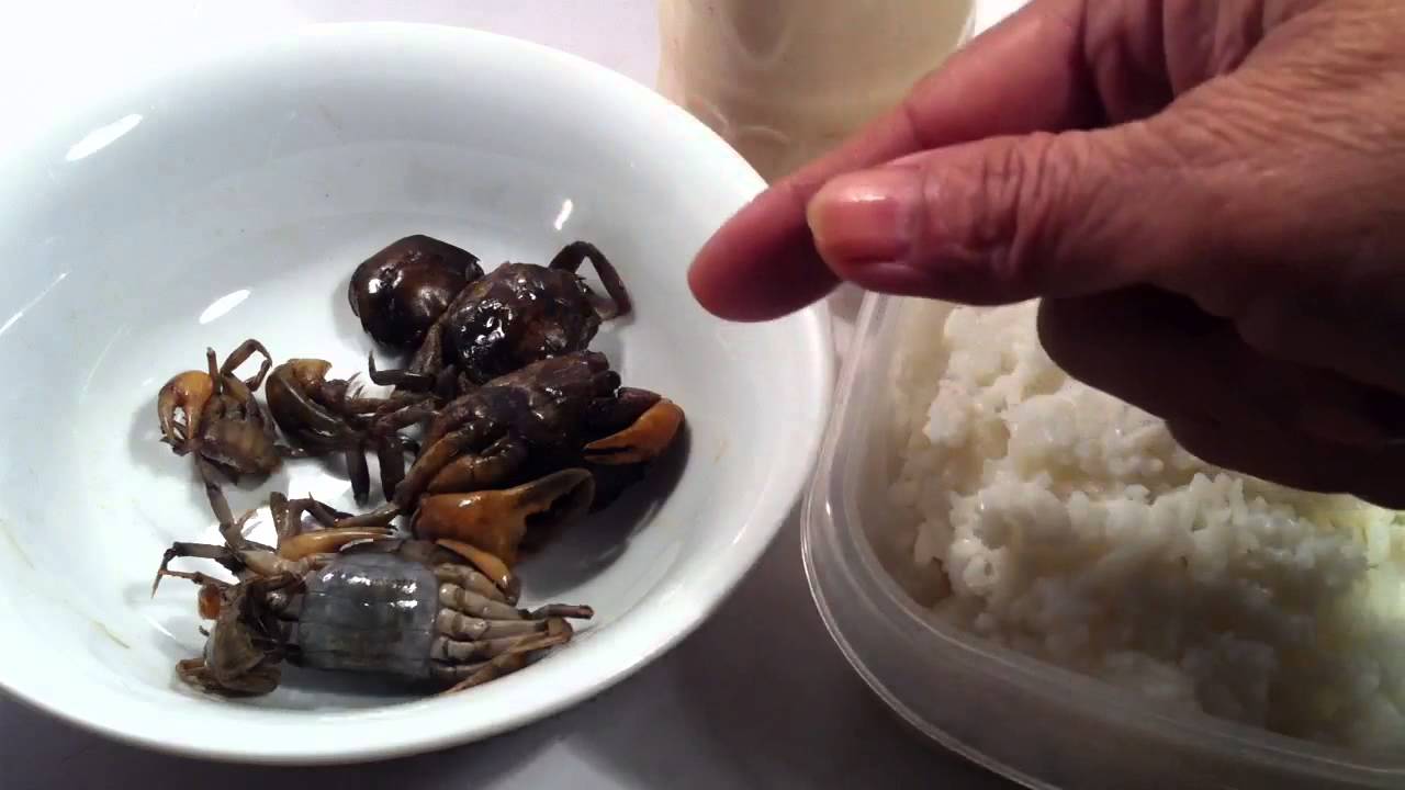 Fishing - How to make Catfish Chum Bait - Rotten Crab (7) - Mồi câu cá ...