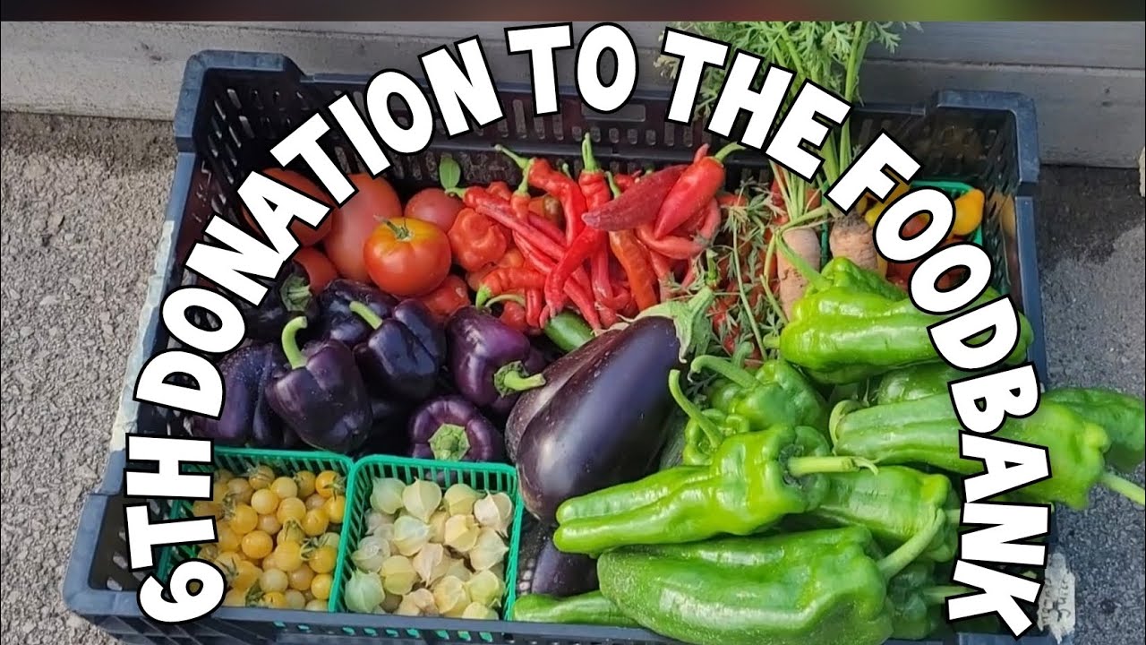 A colorful donation to the foodbank from our community gardens - YouTube