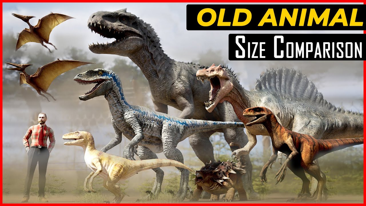 Oldest Animal Size Comparison | Biggest Oldest Animal - YouTube