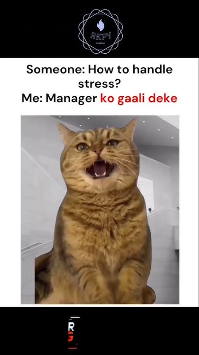 Rkpy4234 Shorts Viral Viralshorts Code Funny Coading Computers Memes Coder Cricket