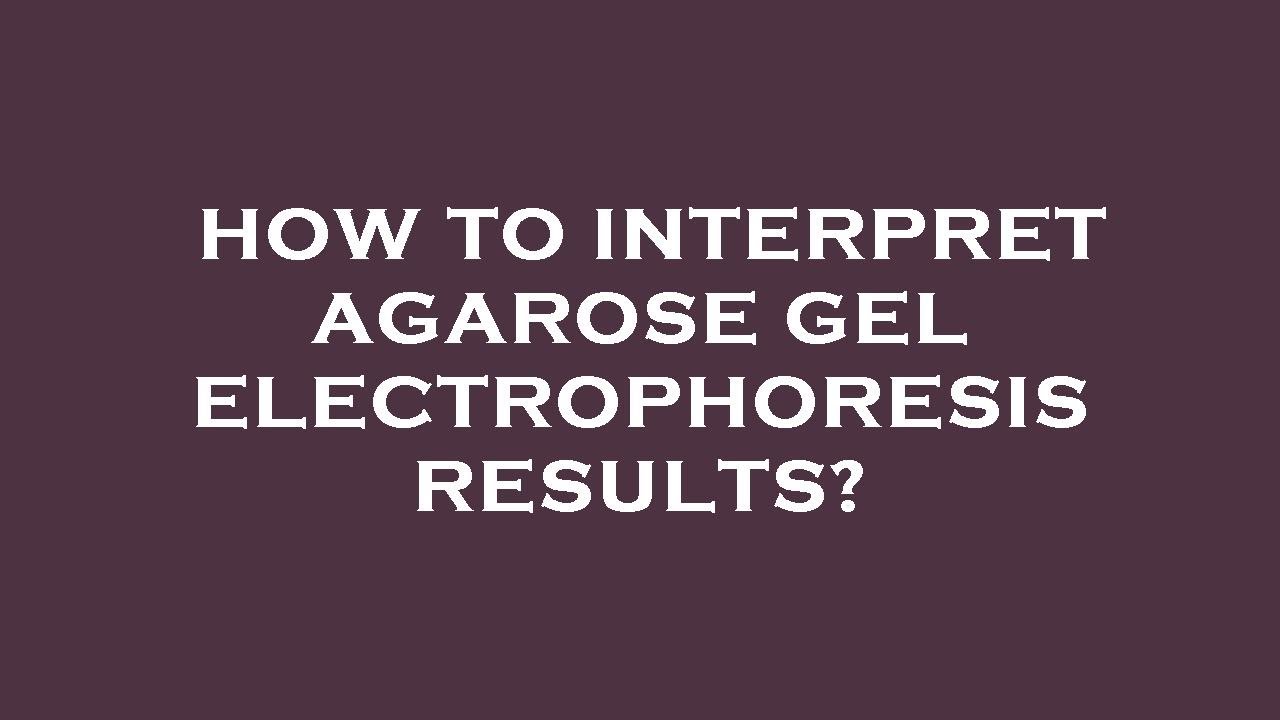 How to interpret agarose gel electrophoresis results? - YouTube