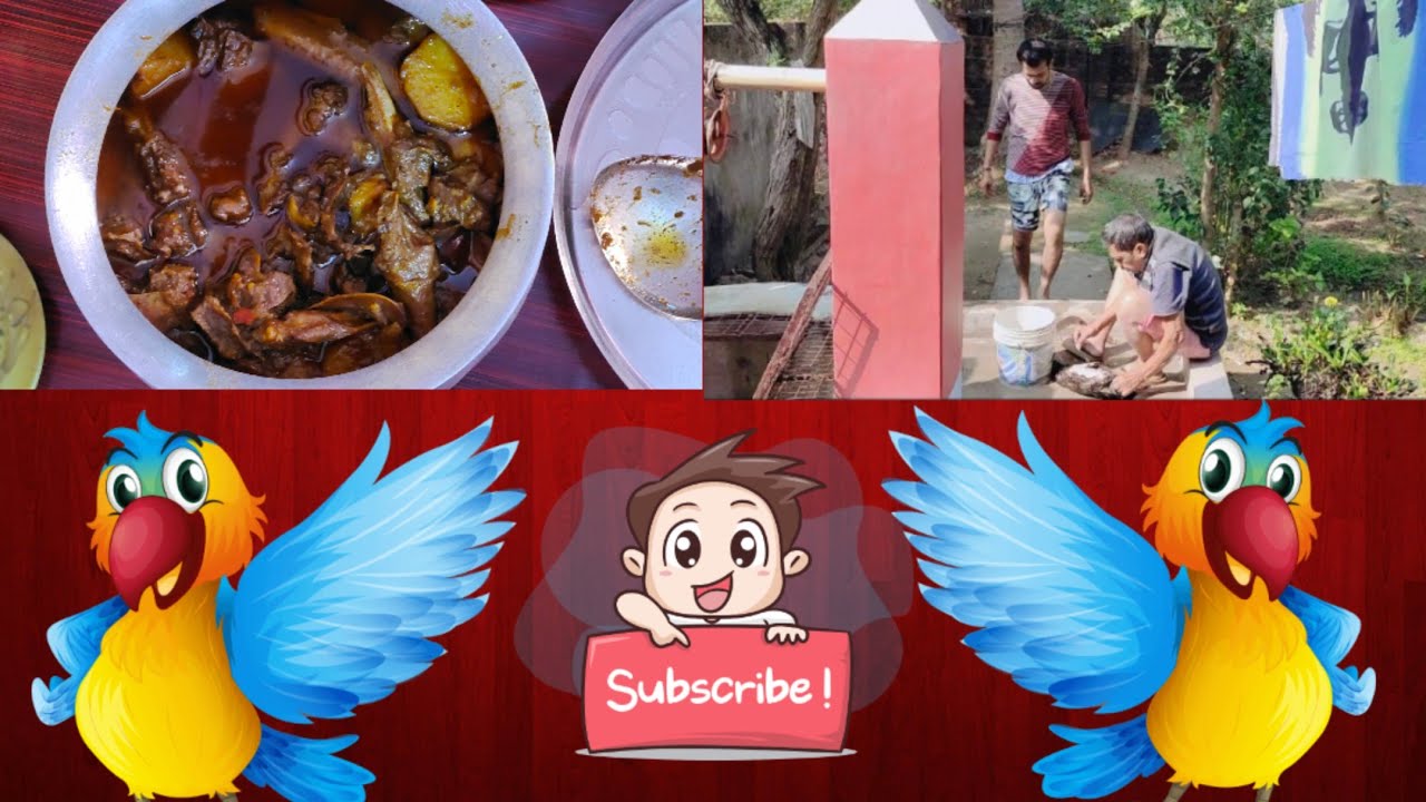 হাঁস নিয়ে তুমুল যুদ্ধ বেধে গেলো || prity vlog || - YouTube