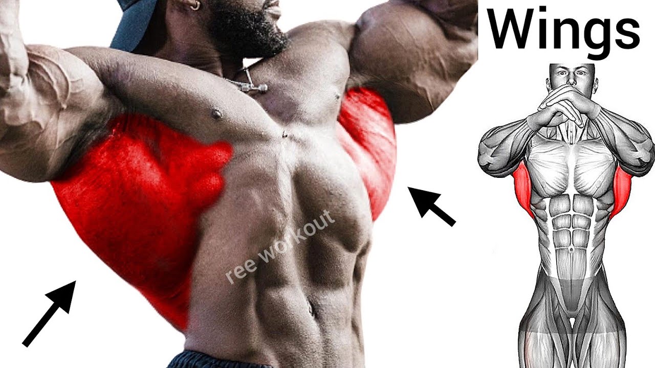Wings Workout at Gym to Build Wider Wings Fast - YouTube