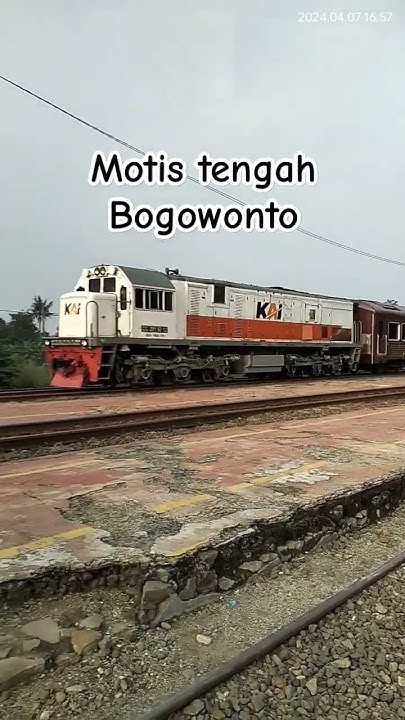 ka motis tengah dan ka bogowonto papasan di st dawuan #hunting # ...
