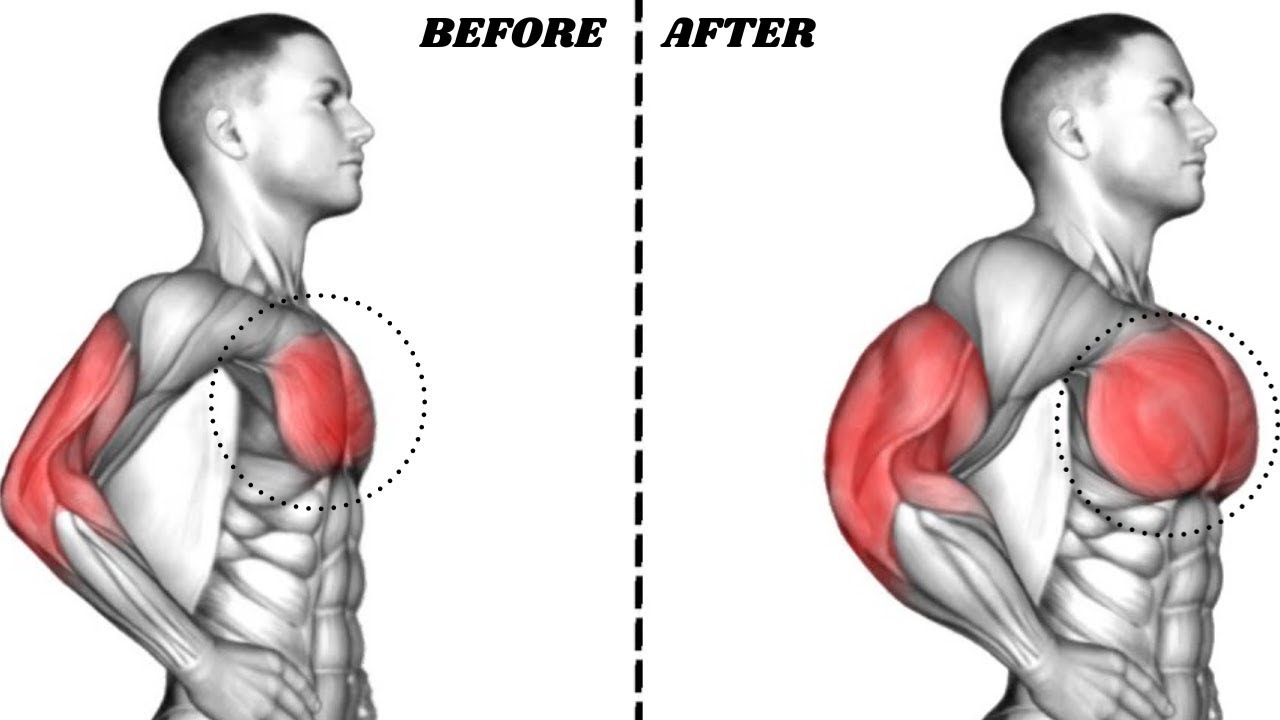 7 Exercises for Massive and Bigger Chest - YouTube