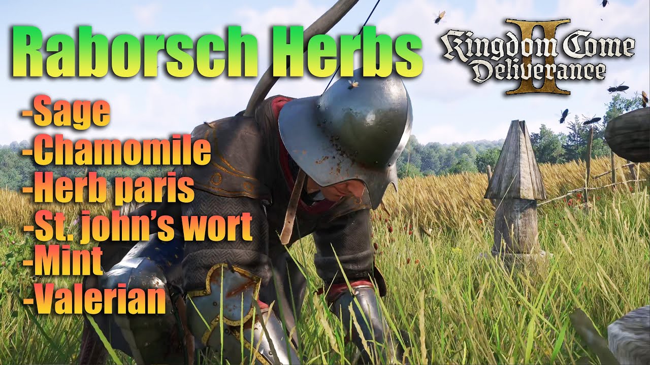 Kingdom Come: Deliverance II Herbs Quest Items Sigismund Camp Raborsch ...