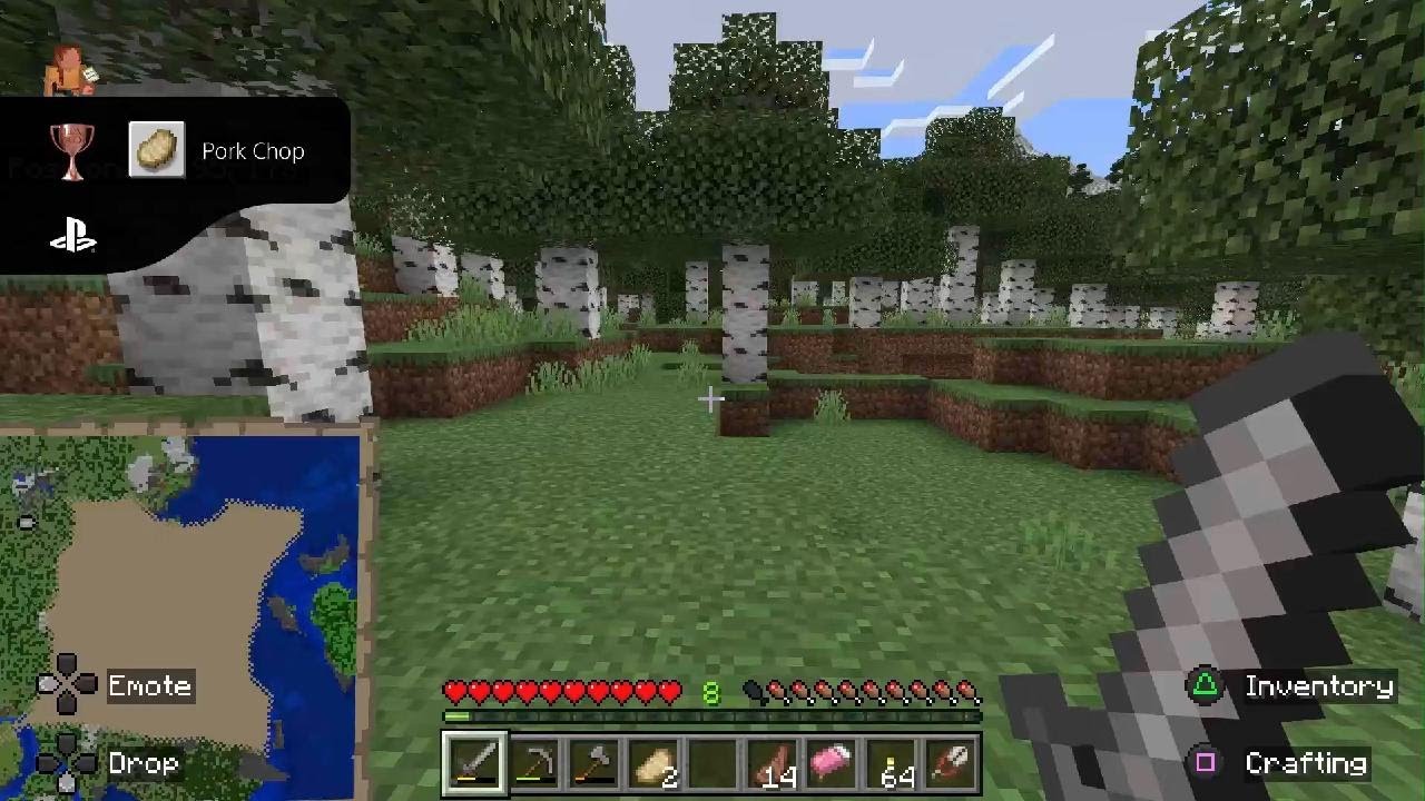 Minecraft Trophy: Pork Chop - YouTube