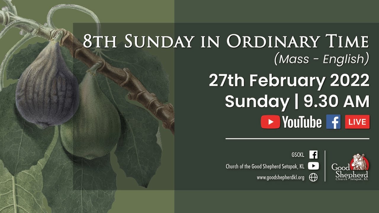 8th Sunday in Ordinary Time - Mass (English) - YouTube