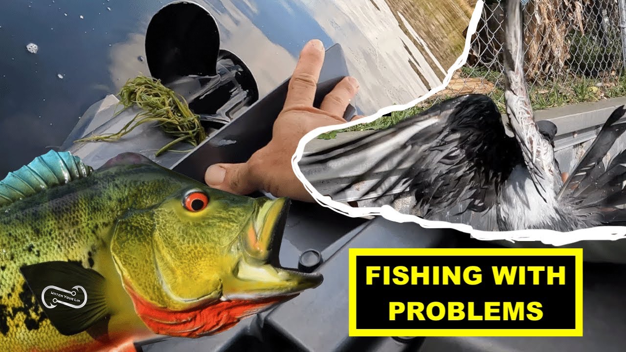 DEALING WITH 3 MAJOR ISSUES WHEN FISHING STILL CAUGHT FISH! - YouTube