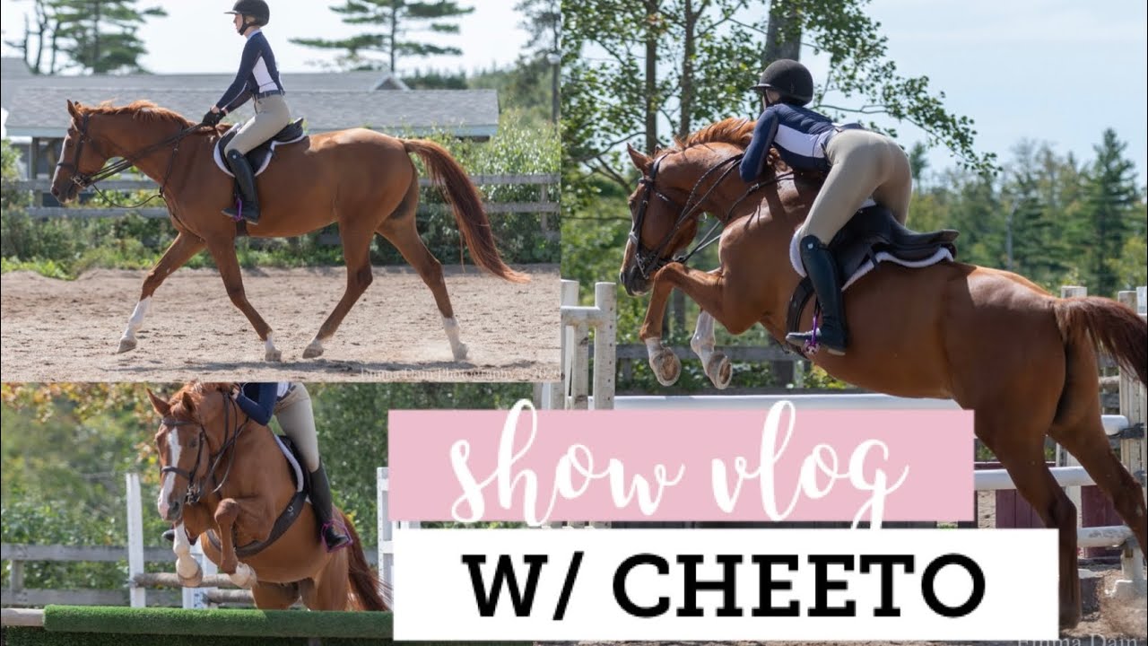 show vlog! (vlog #70) - YouTube